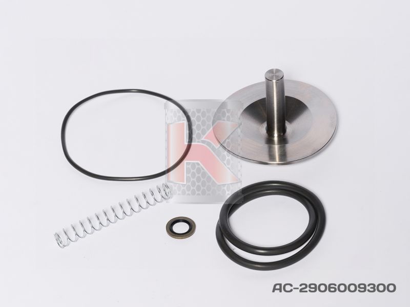 AC-2906009300